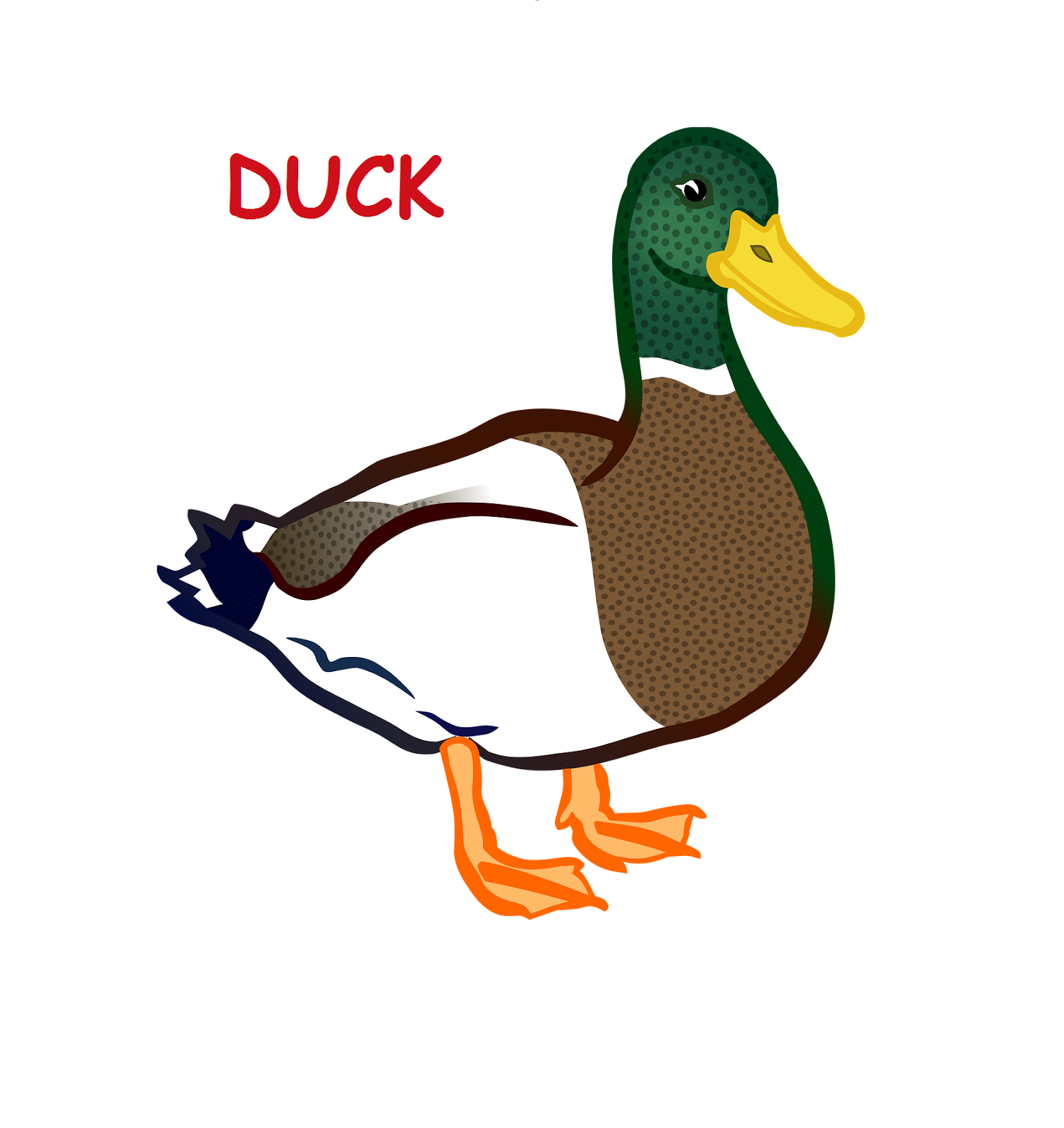 Bila mama Kukunka,bio tata Taranta: Nazivi domaćih životinja na ...