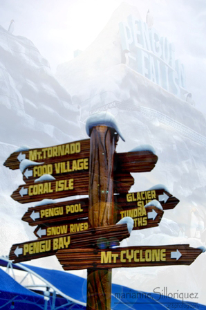 curious Mind: Iceland Water Park, Ras Al Khaima