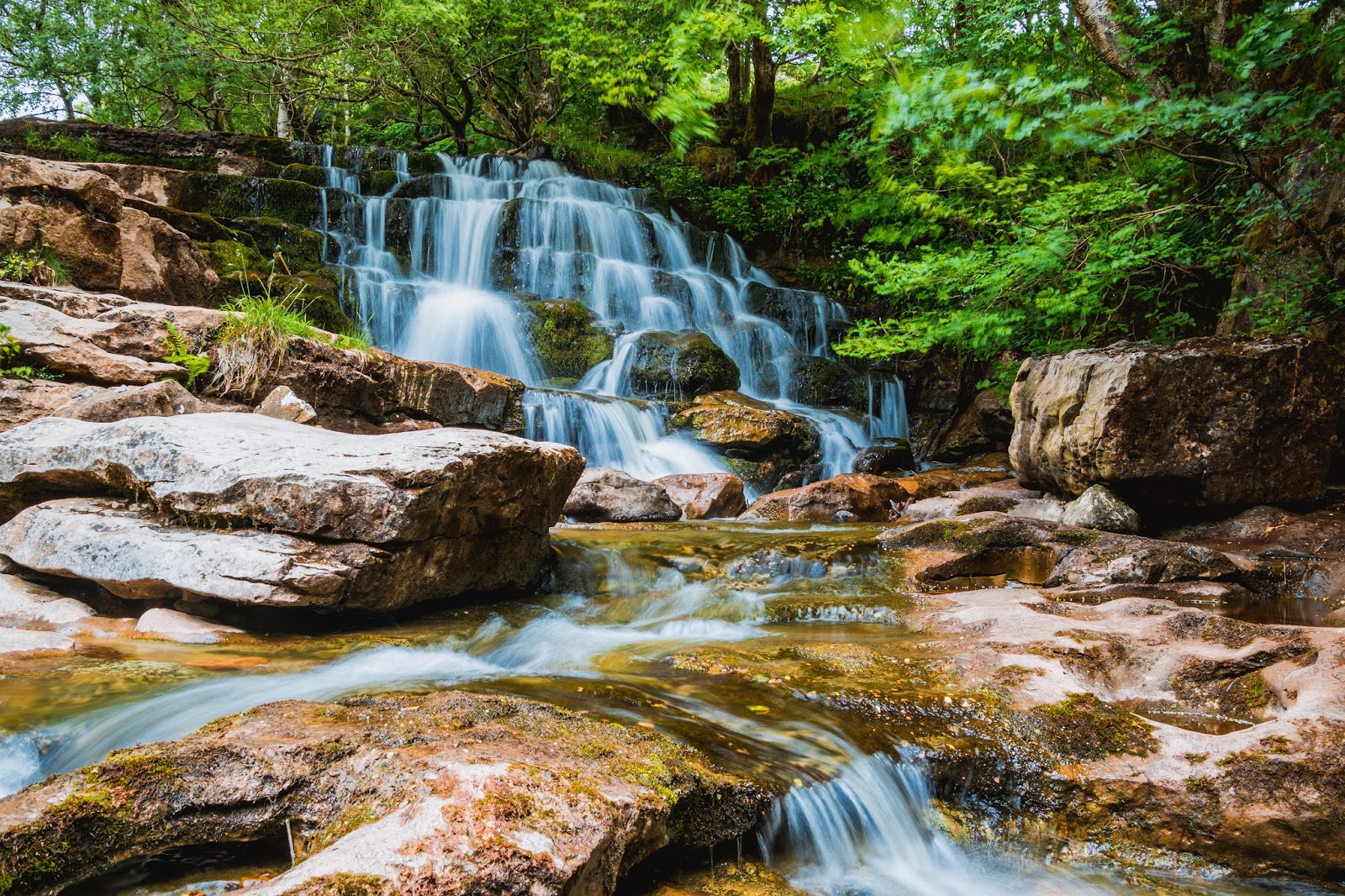 Yorkshire Waterfalls: East Gill Force