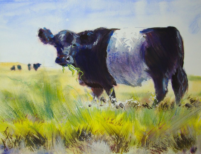 Art by Mike Jory: Painting of a Belted Galloway Cow