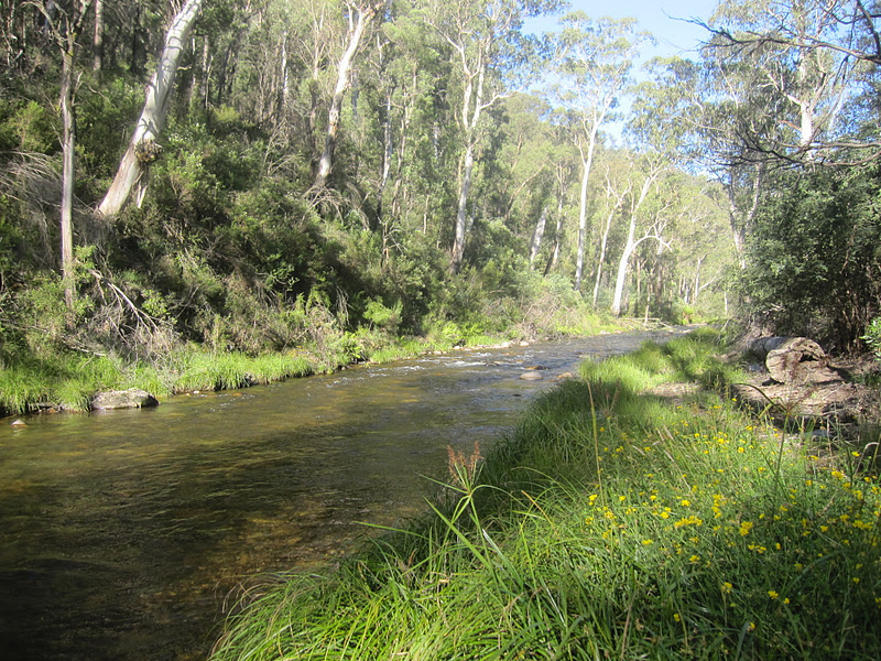 Marty n Susan: Victorian High Country