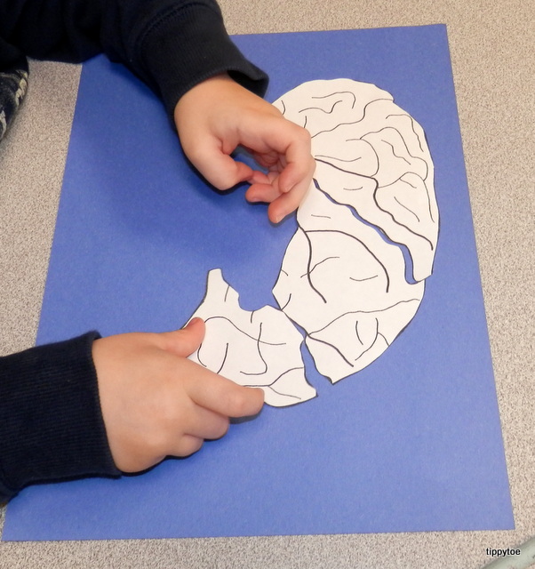 Tippytoe Crafts: Brain Puzzles