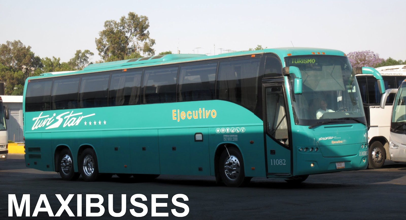 MAXIBUSES: TURISTAR EJECUTIVO