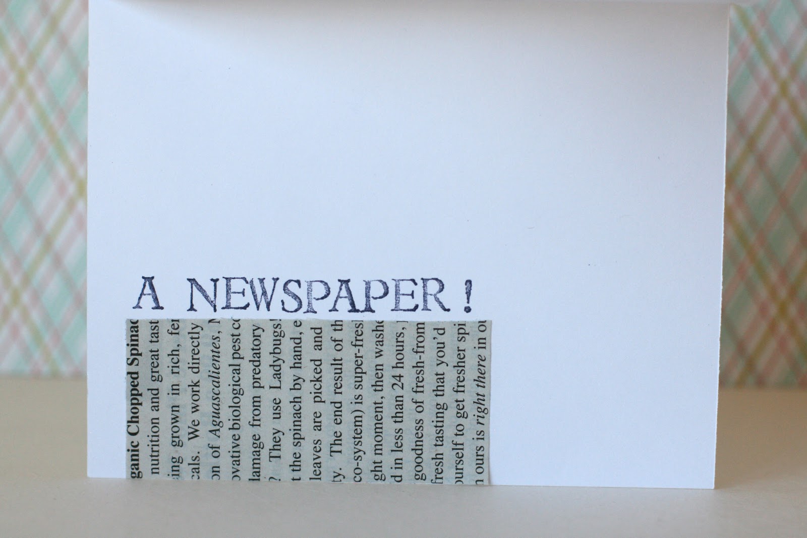 Notable Nest: A Riddle for You