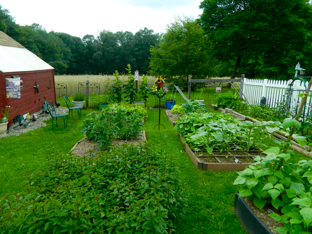 Pam's English Cottage Garden: Kitchen Garden Update