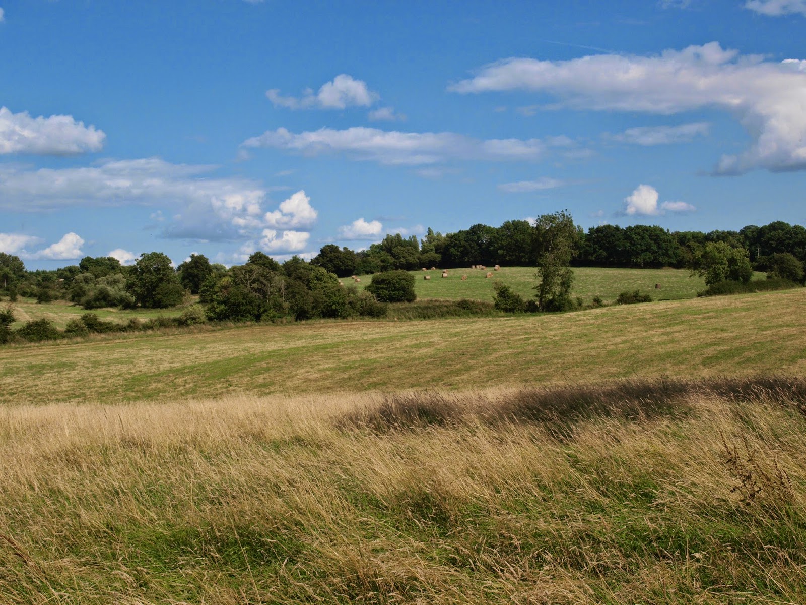 Ragged Robin's Nature Notes: A Walk in the Warwickshire Countryside