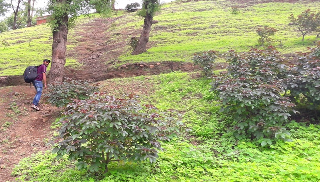 Kalakund Adventure , Mhow ~ Lucky Wanderer