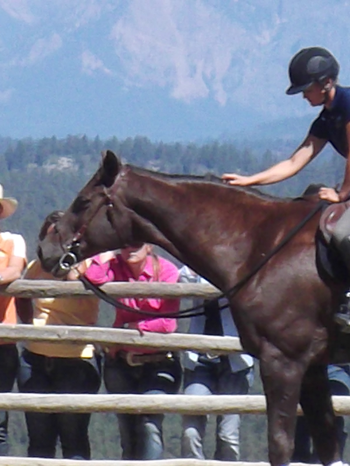 HOOFPRINTS OF KASPIN: Parelli Summit Day 3!! Sad to see it end:)