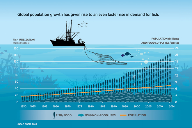 War News Updates: Get Ready For The Coming Wars Over Fish