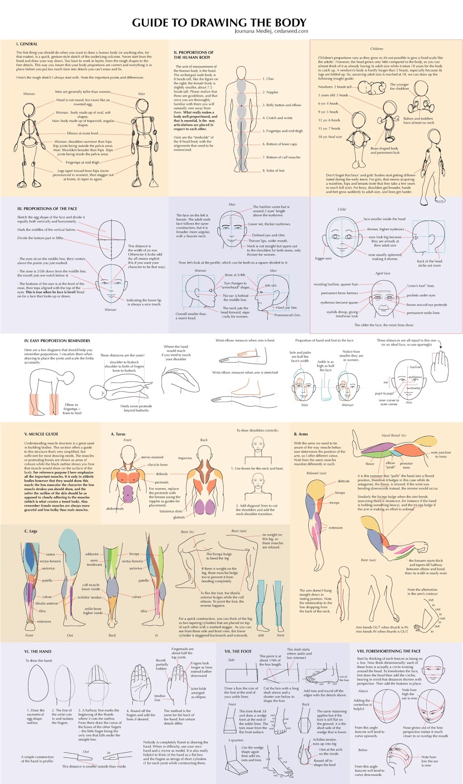 Guide To Draw Body by Joumana Medlej ~ Dalangreka Production