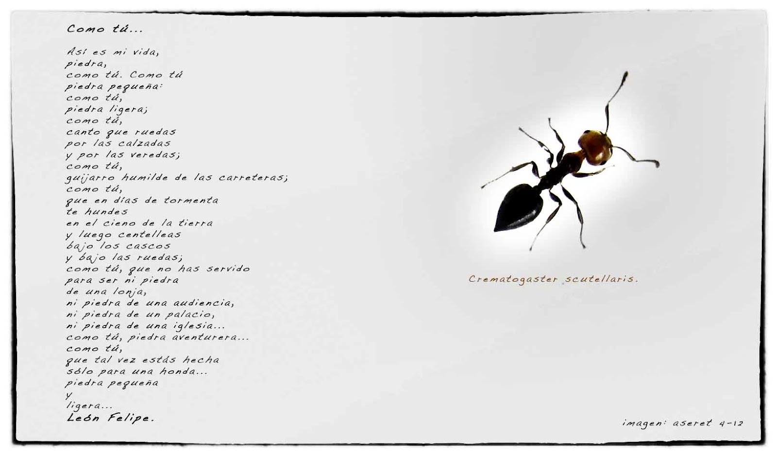 Entre Andares va Aseret.: Poemas de León Felipe.