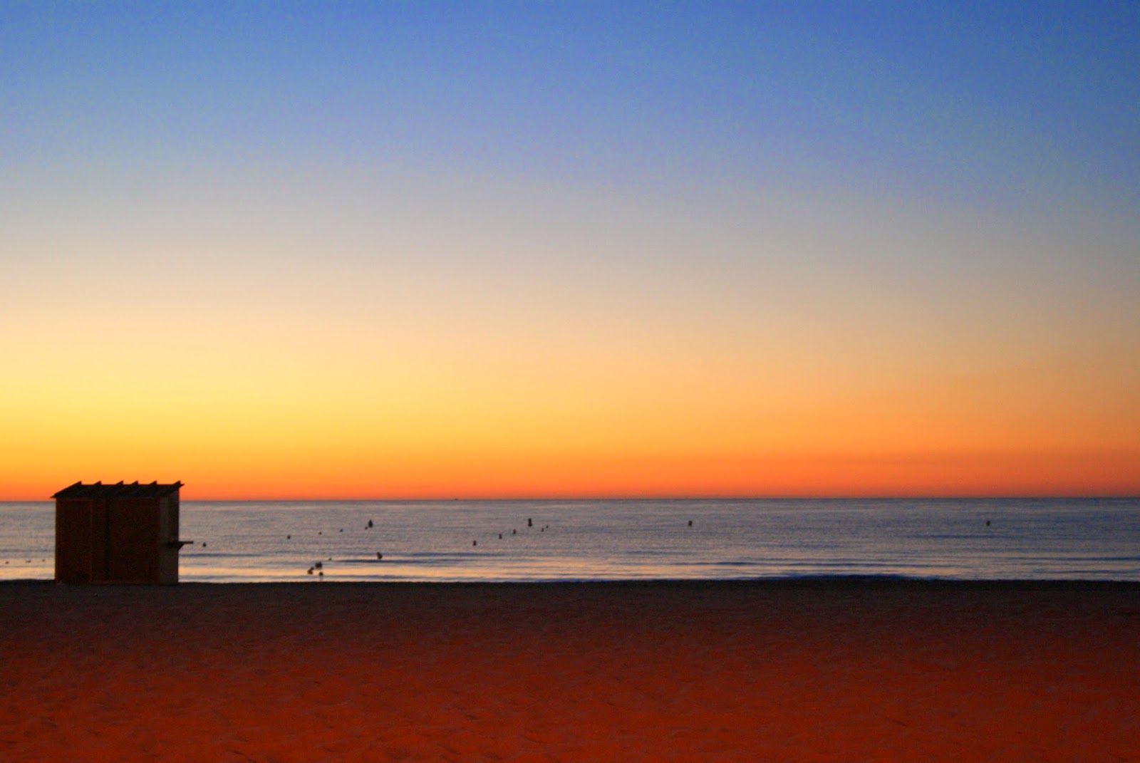 Navidad 2007 y 2008 para Gizela Rudek y amigos: Inmersa en alba