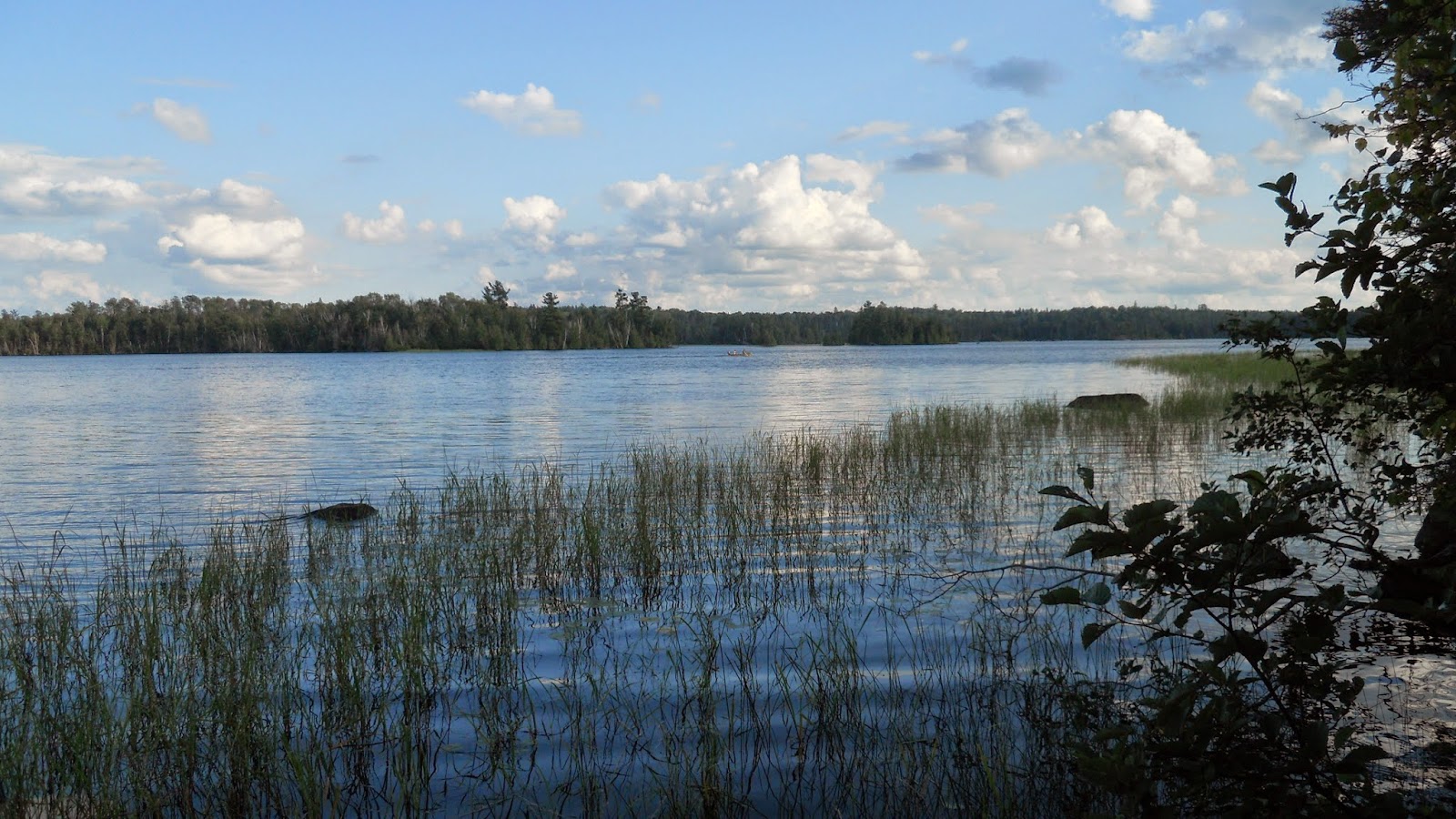 National Forest Camper: Birch Lake Campground