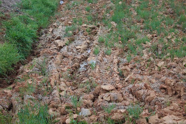 Photos: Can You Find These 10 Cunningly Hidden Animals? | OutdoorHub