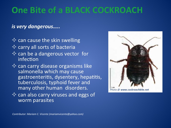 Merlina's Sampayan: Interesting to Know: One Bite (29 - 32)