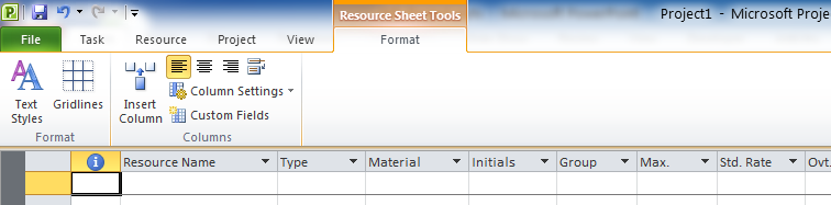 Format Menu | Quick MS Project