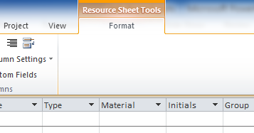 Format Menu | Quick MS Project