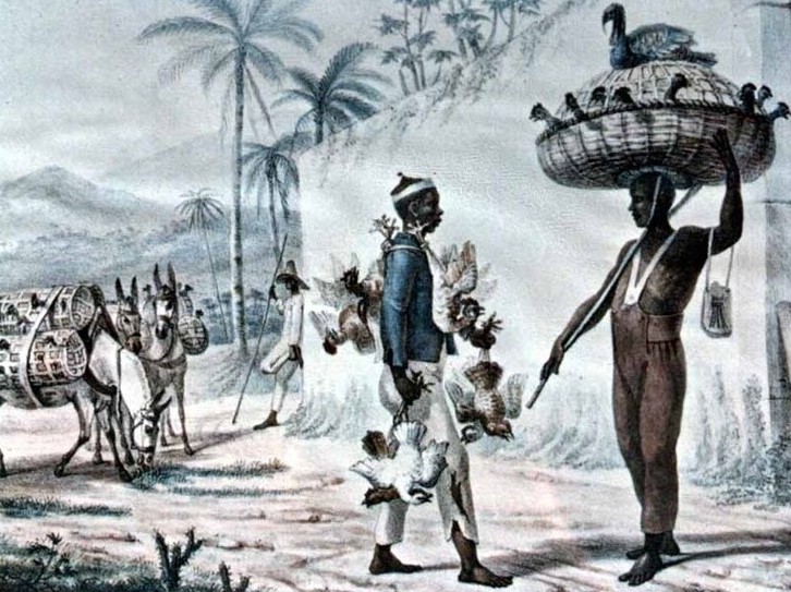 SEMIEDU2013 - Educação e (des)colonialidades dos saberes, práticas e ...