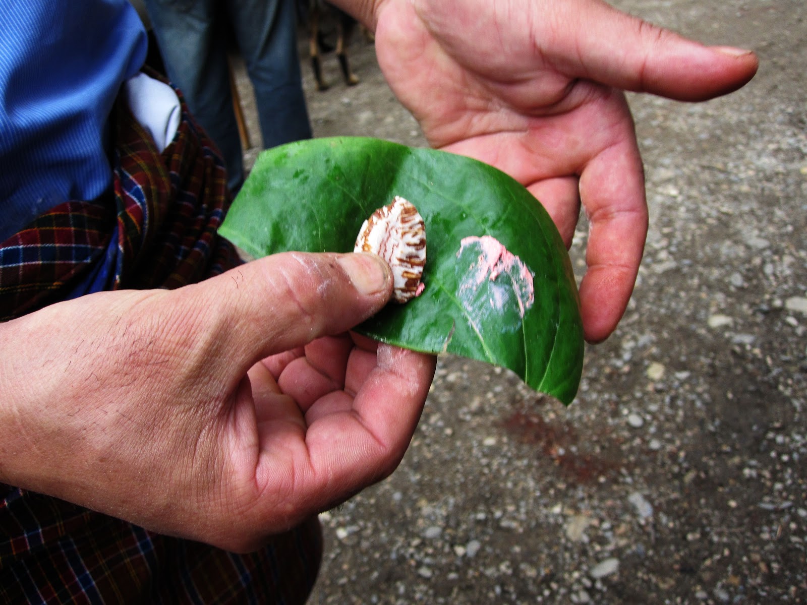 Overcome life: Memories of Bhutan - 16-20 Aug 2012 (Part 3)