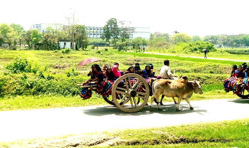 WORK FOR COMMUNITY: Gorur Gari: the Environment Friendly Vehicle of ...