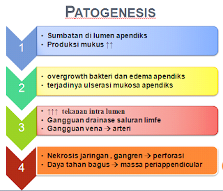 Berbagi Pengalaman Tentang Kesehatan/Kedokteran...: Appendicitis Perforasi