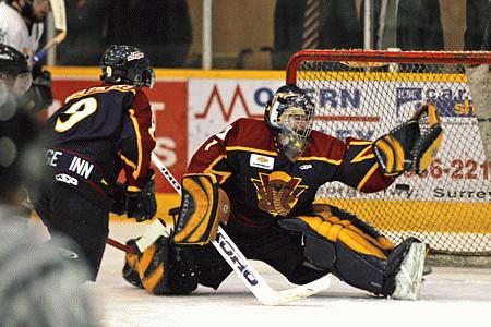 vipersdiehardfan blog: Former Viper Goaltender Swept In First Round Of ...