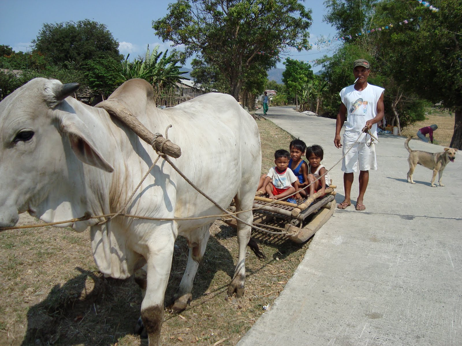 Naturalism - the Eighth Sense: Indigenous Tools and Equipment