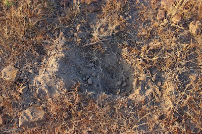 Journeys across Karnataka: Prehistoric Ash Mound of Kudathini