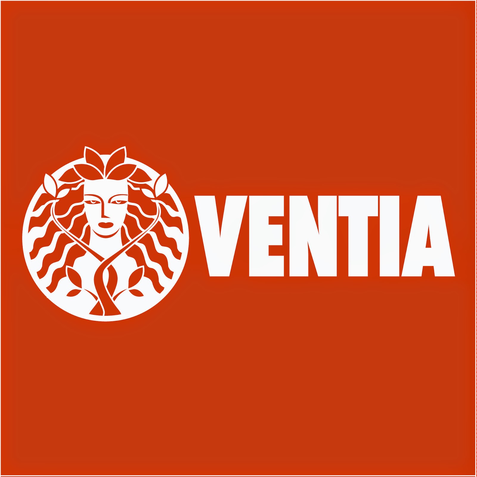 Curriculum Online de Manu Franco: Ventia, agencia audiovisual