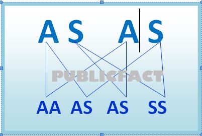 facts you should know: CAN GENOTYPE [AS] MARRY GENOTYPE [AS]