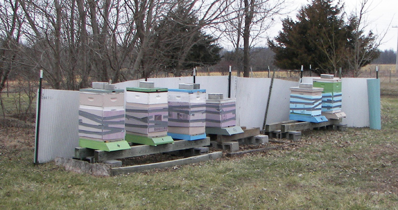 The Small Hold - Will Not Go Down Without a Fight: Moving Bee Hives ...