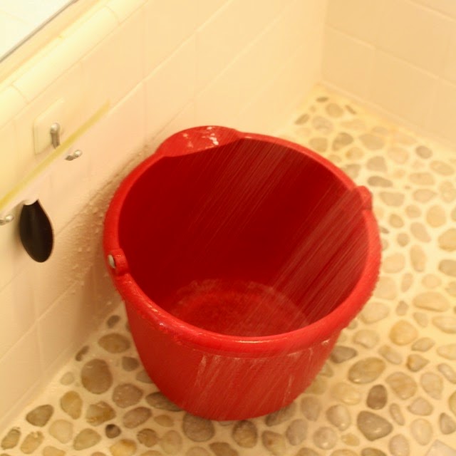 CA Native Garden: April Showers