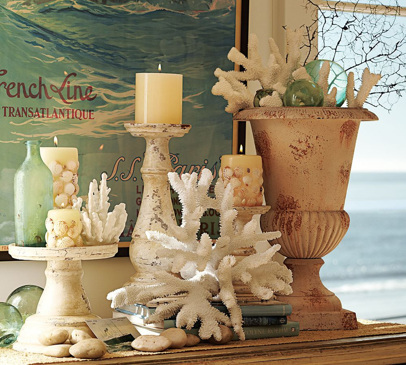 Eye For Design: Great Ways To Display Your Seashell Collection