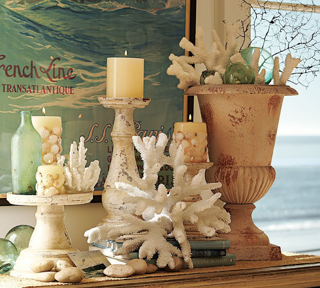 Eye For Design: Great Ways To Display Your Seashell Collection