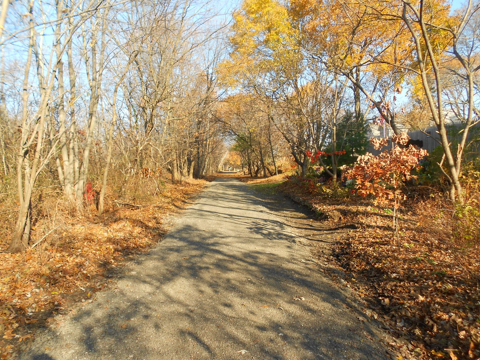Breakheart Outdoors: Northern Strand Community Trail