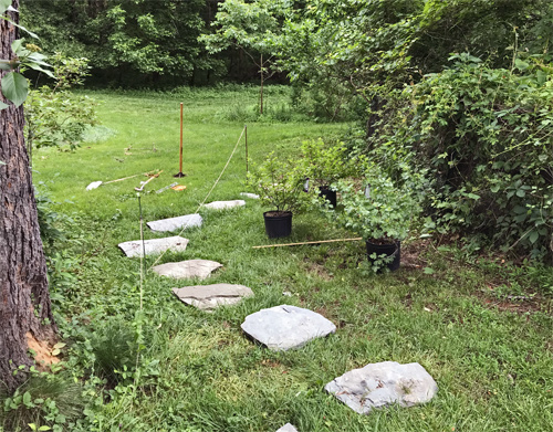 Native Plants with Adams Garden: New Sloping Path