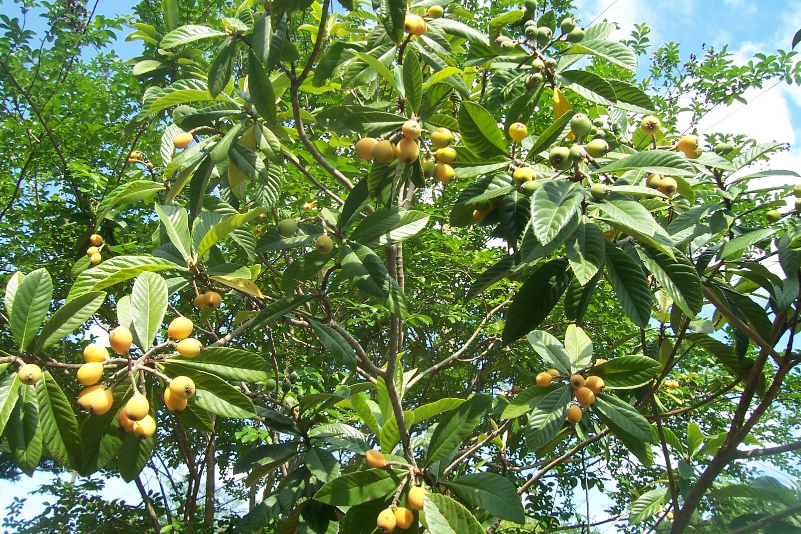 Little Old House: April 2011