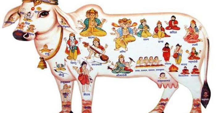 Kamdhenu Cow in Hinduism – Story of Divine Cow Kamdhenu in Hindu ...