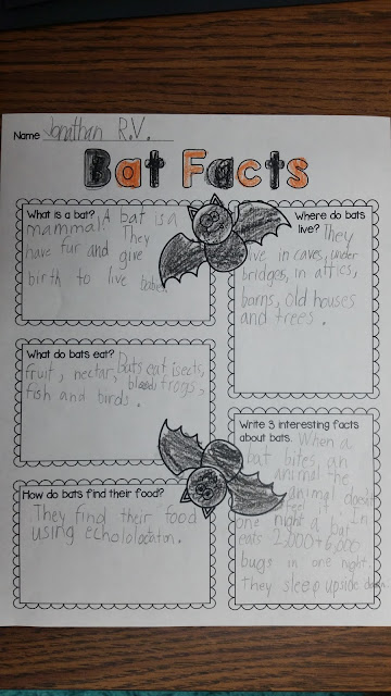 My Favorite Bat Videos and Teaching Resources for the Primary Classroom ...