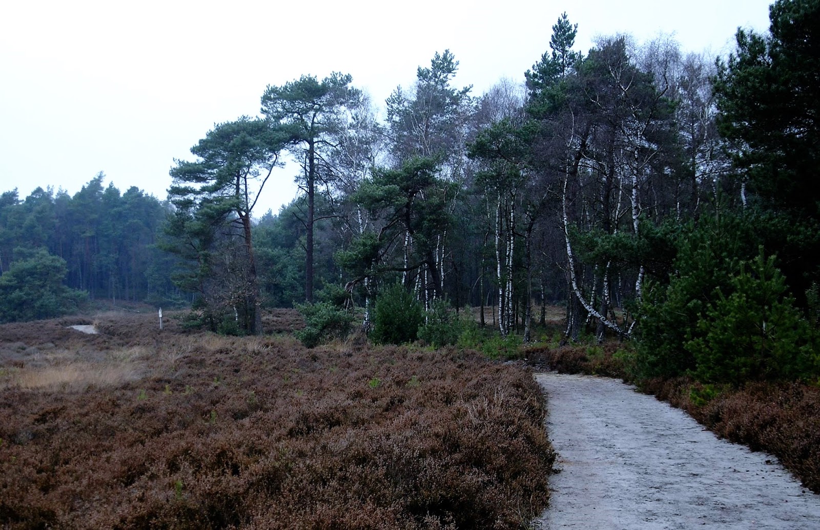 Mooiste Routes: Wandelen bij Loenen (Gelderland)