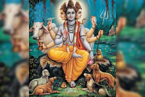 Why Dogs (Shvan) are Gods? A Major Belief In Hinduism