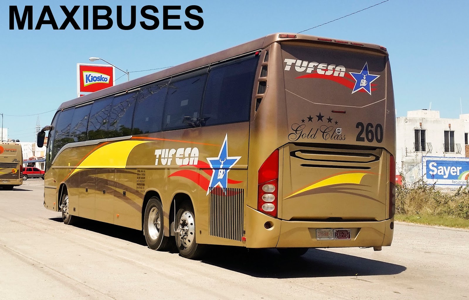 MAXIBUSES: TUFESA GOLD CLASS
