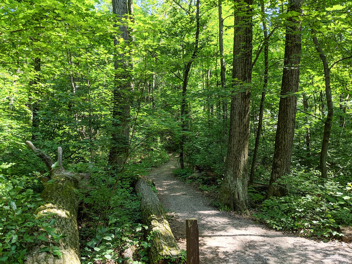 CCC Trail at Devil's Lake State Park