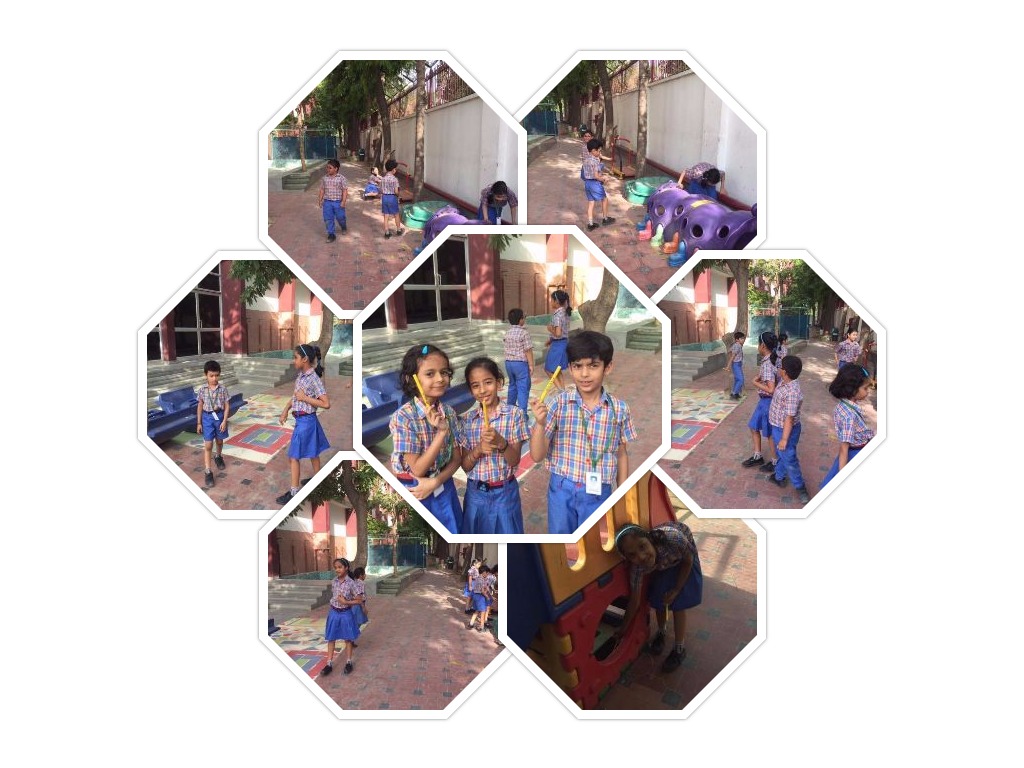 .: Grade II - Playing Pilolo