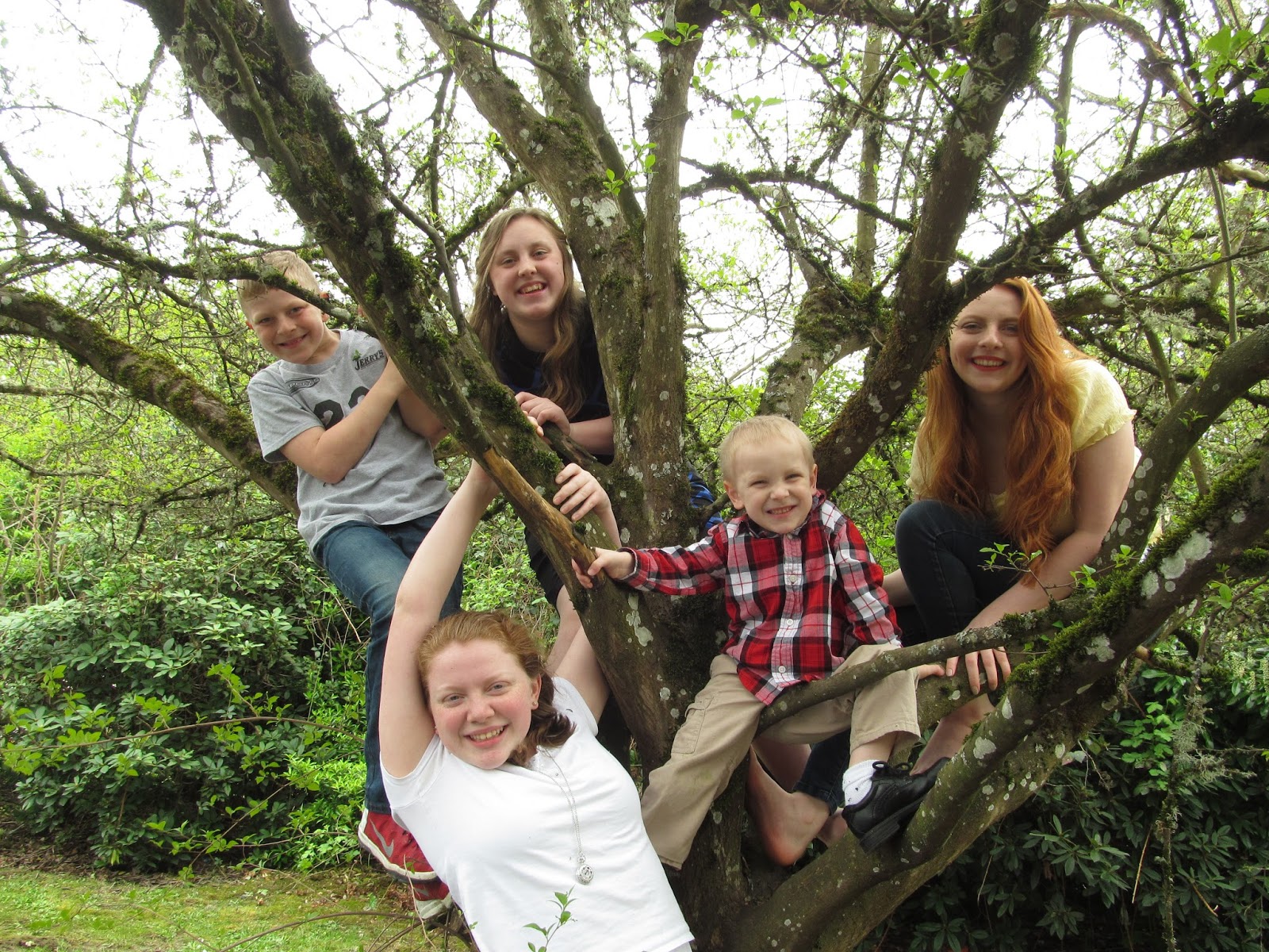 The Alan Walker Family: A Journey Through Life