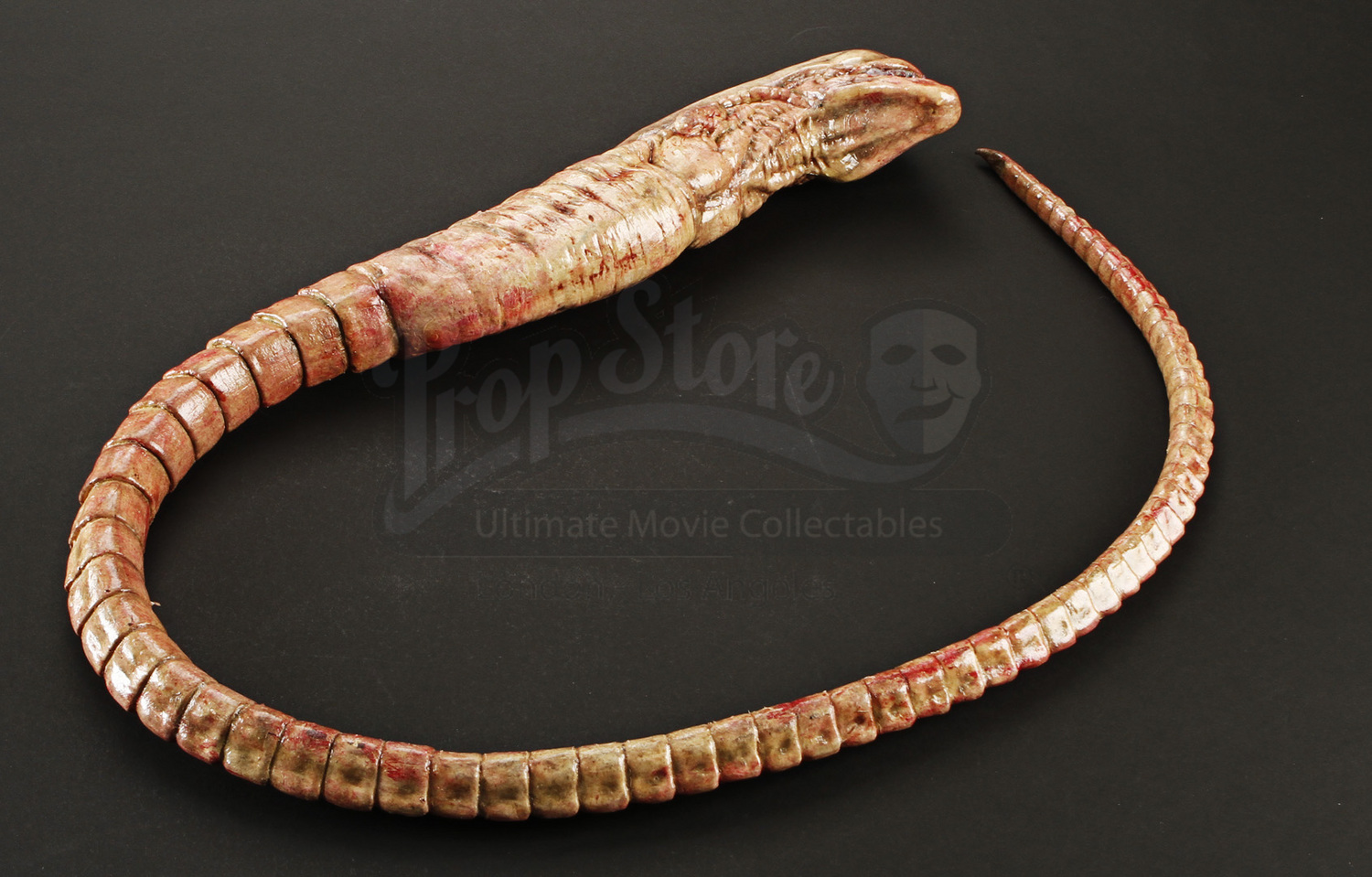 Alien Explorations: Alien vs Predator: Alien Chestburster Puppet