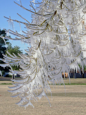 Reminisce...: Deep Freeze in Phoenix