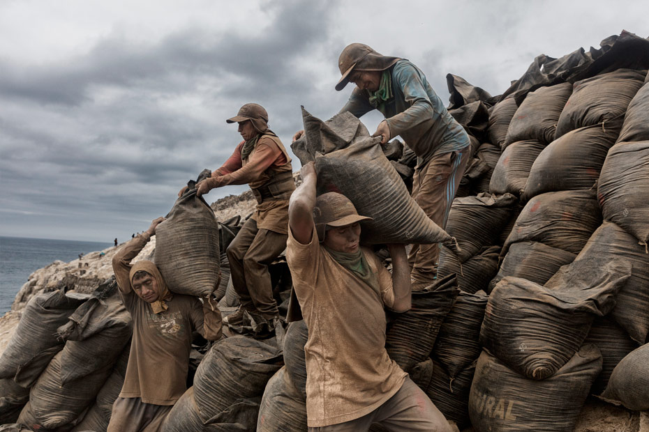 Cuando despertó, el dinosaurio todavía estaba allí: La dura extracción ...