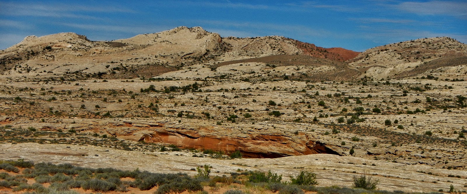 The Southwest Through Wide Brown Eyes: Wolfman Panel and Ruins - Comb ...
