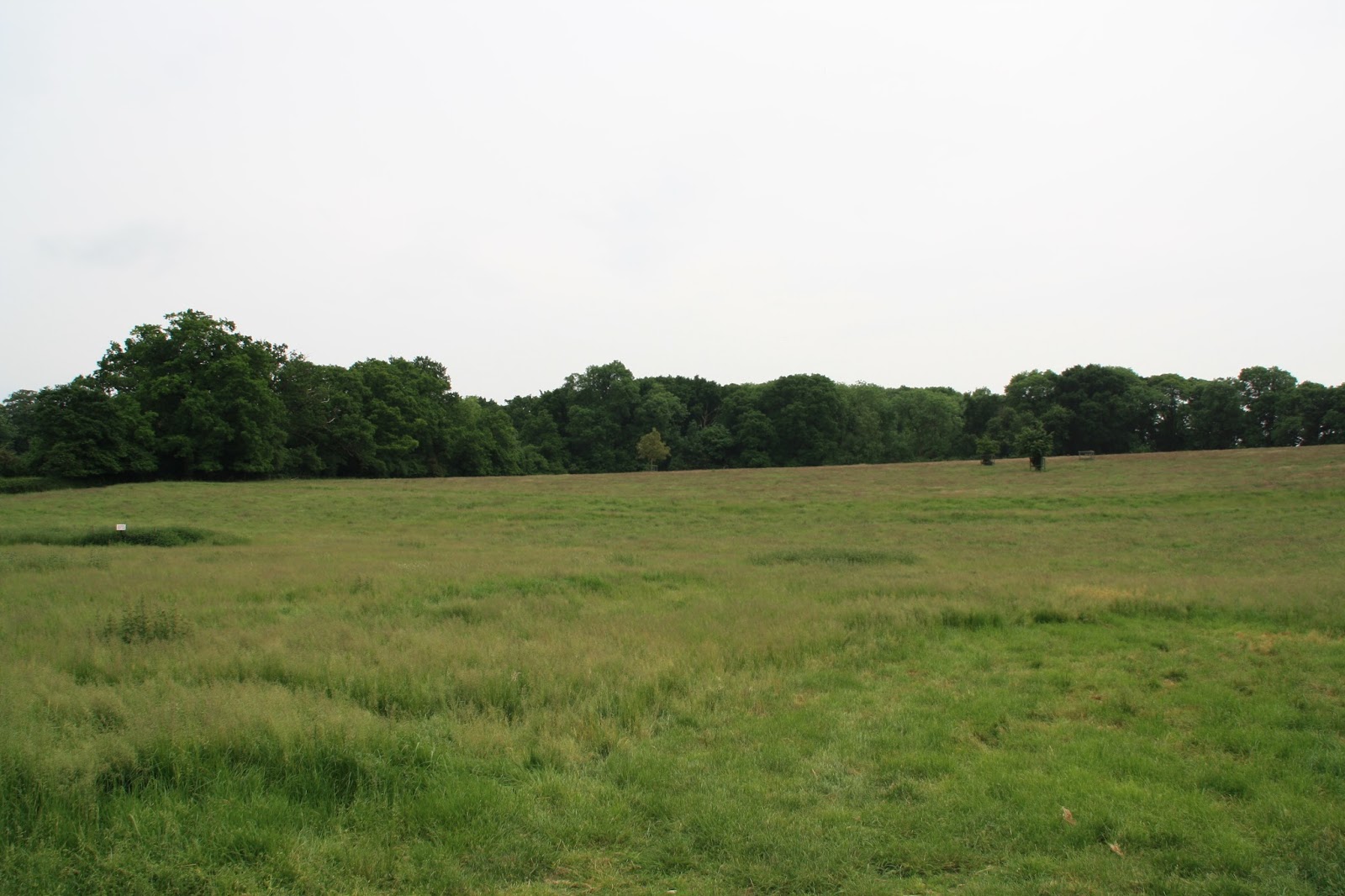 Austenised: My Pilgrimage to Steventon - "The Cradle of Jane Austen's ...